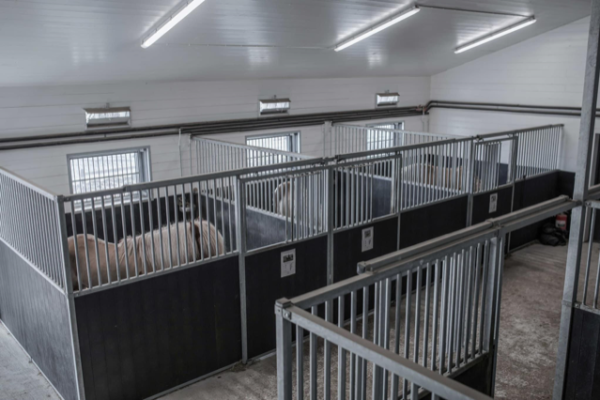 Boxfronter - Skräddarsydd inredning till boxar | City Boxen